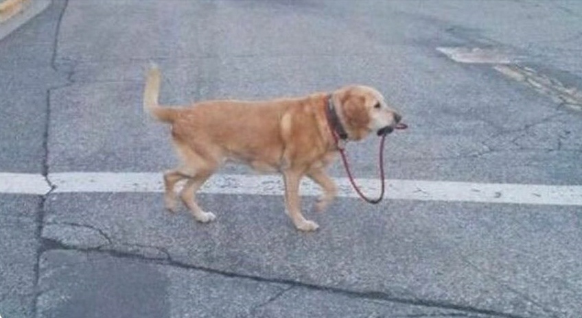 The learning process here at Stony Brook | Scrolller