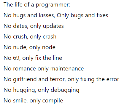The life of a programmer | Scrolller