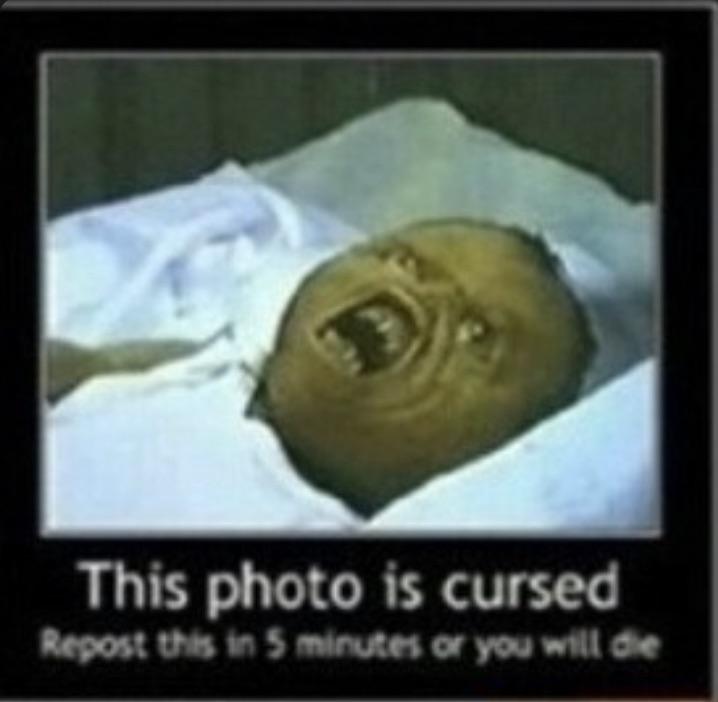 The literal curse | Scrolller