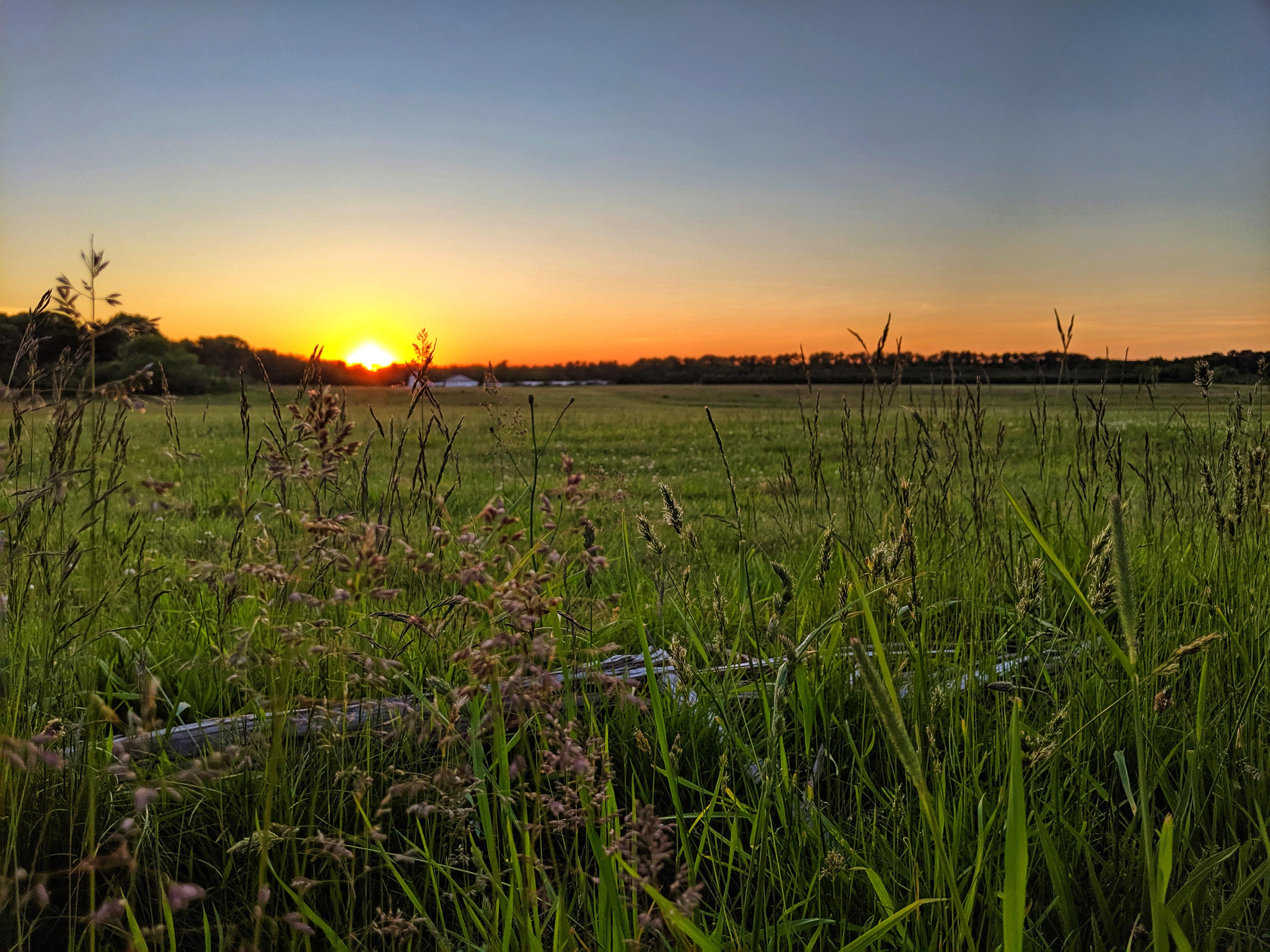 The 'Little Airport', Marstons Mills | Scrolller