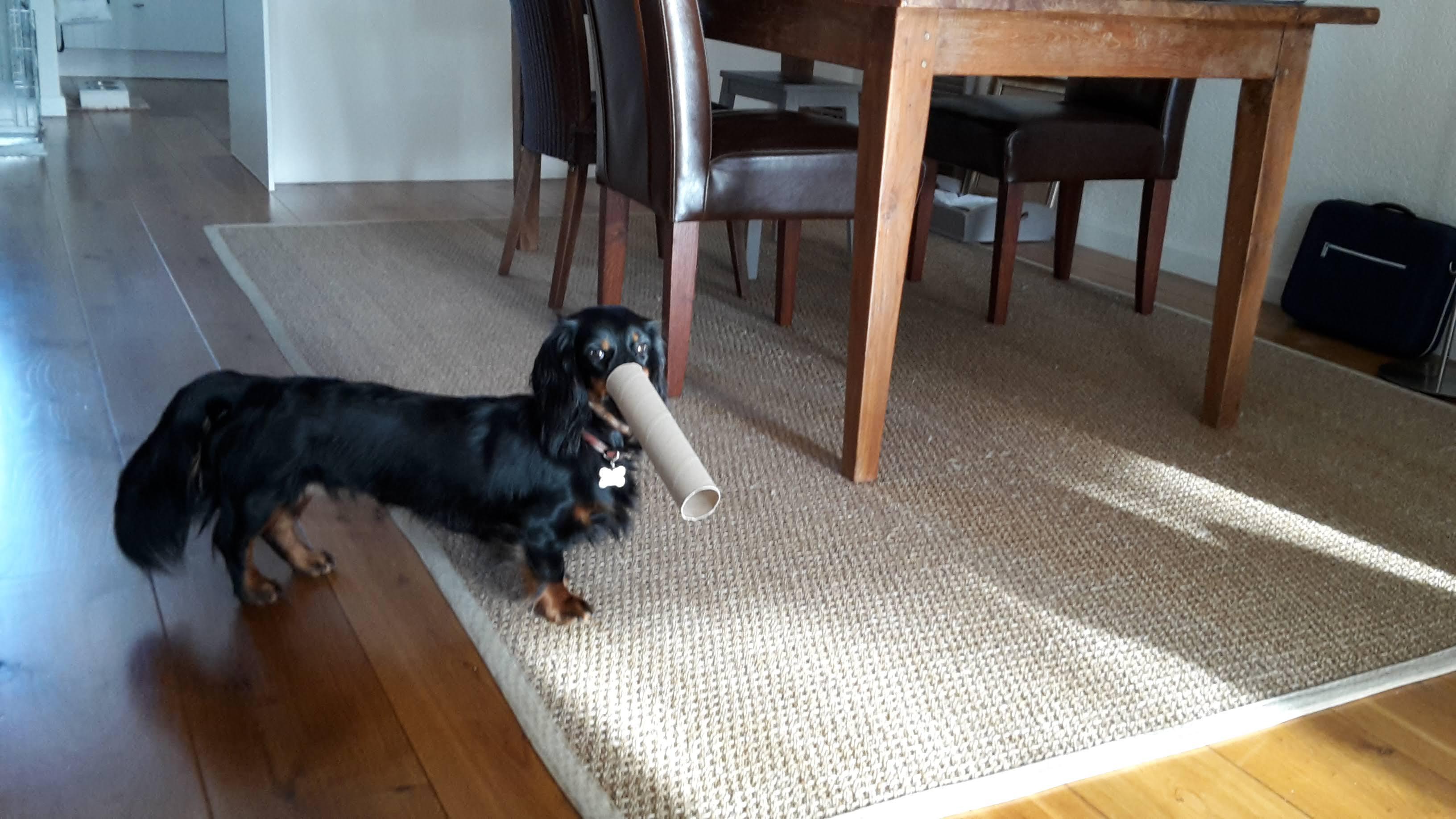 The longest^tm | Scrolller