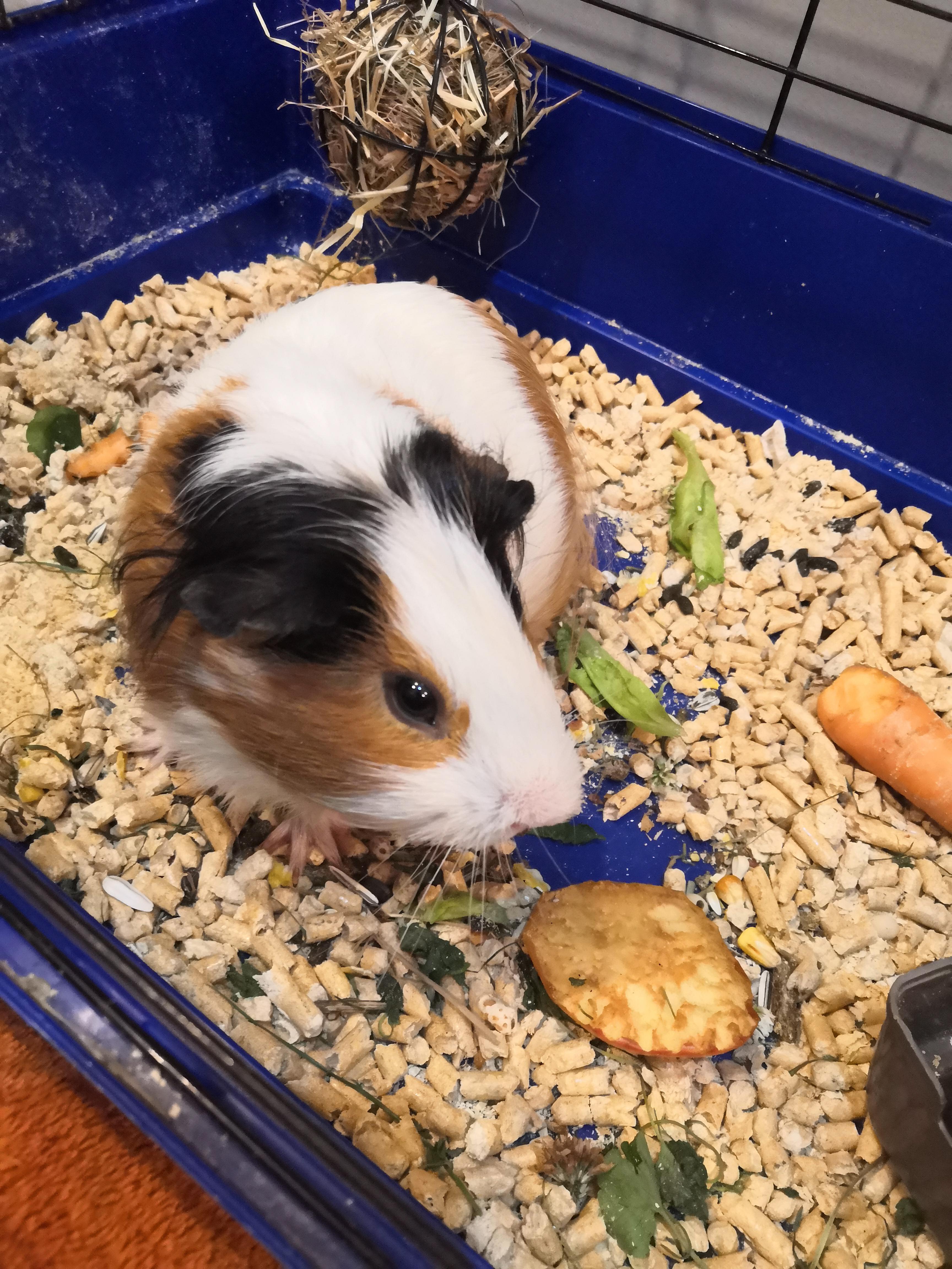 The look around | Scrolller