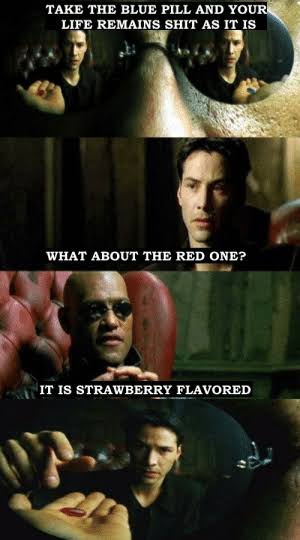 The Matrix unloaded | Scrolller