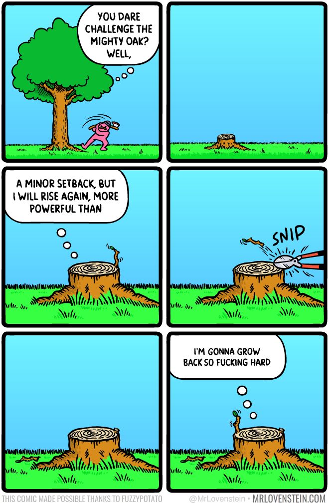 The Mighty Oak | Scrolller