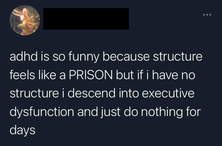 The never ending curse | Scrolller