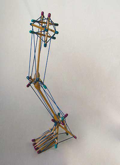 the original inventor of "tensegrity structures" : nature. Most of your body is a tensegrity ...