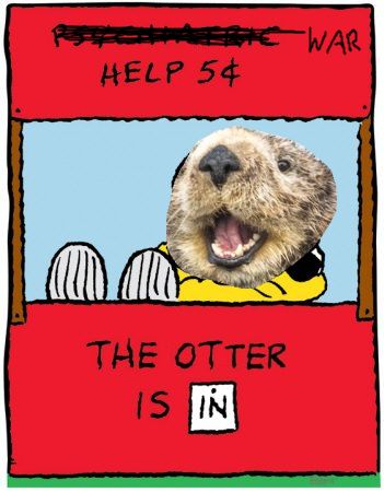 The Otter is IN. | Scrolller
