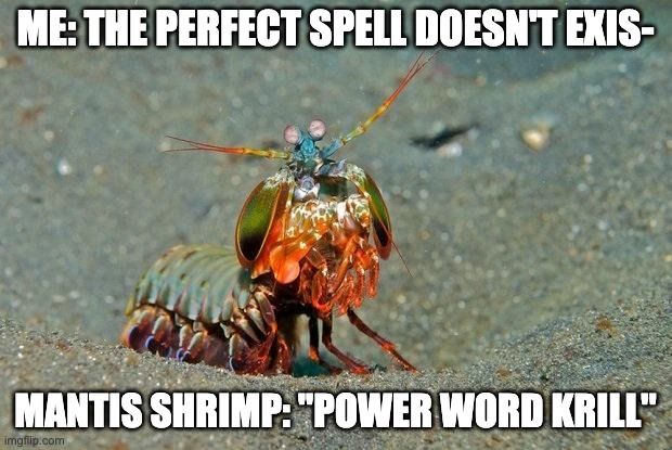 The perfect spell doesn't exis- | Scrolller