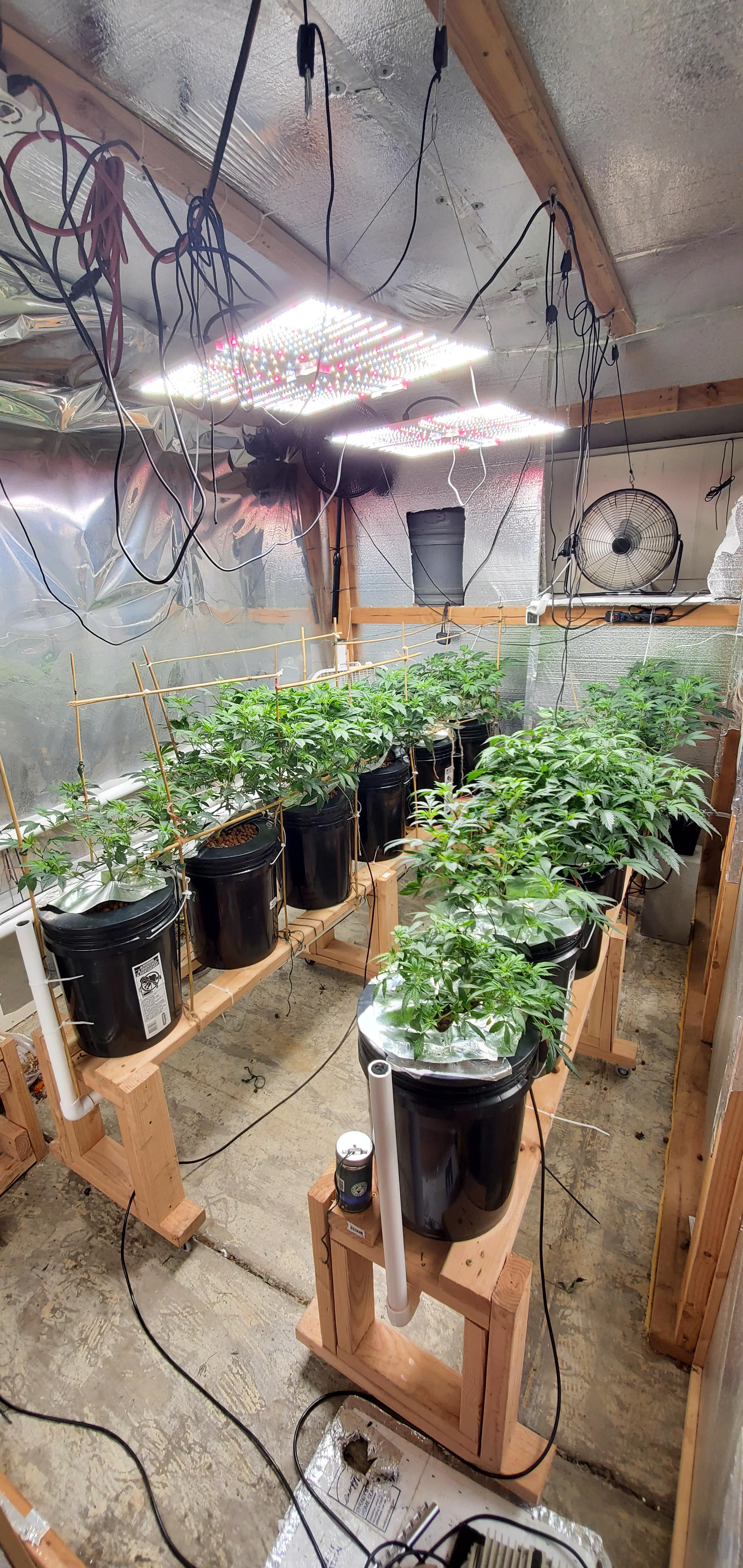 The poor man's grow room. | Scrolller