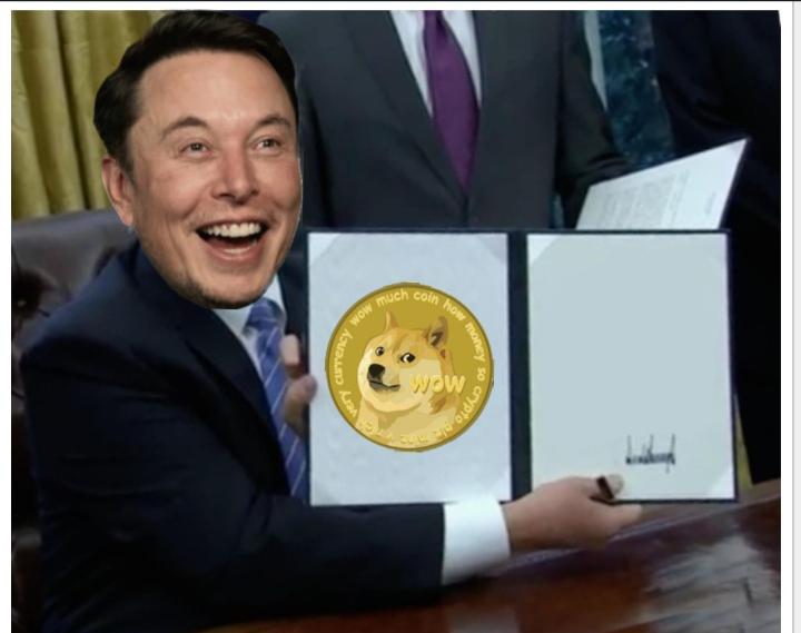 The president we need | Scrolller