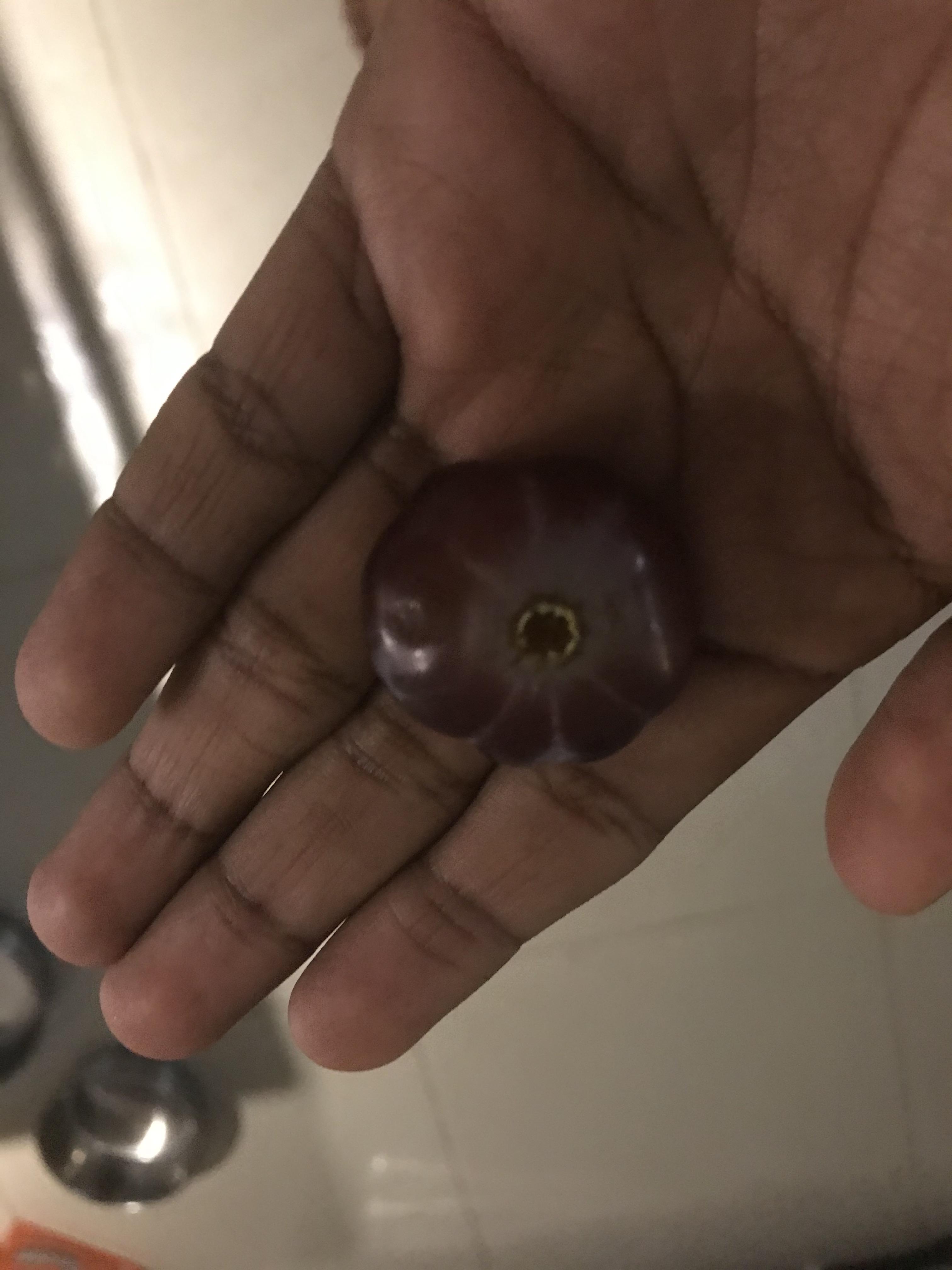 The pumpkin looking grape | Scrolller