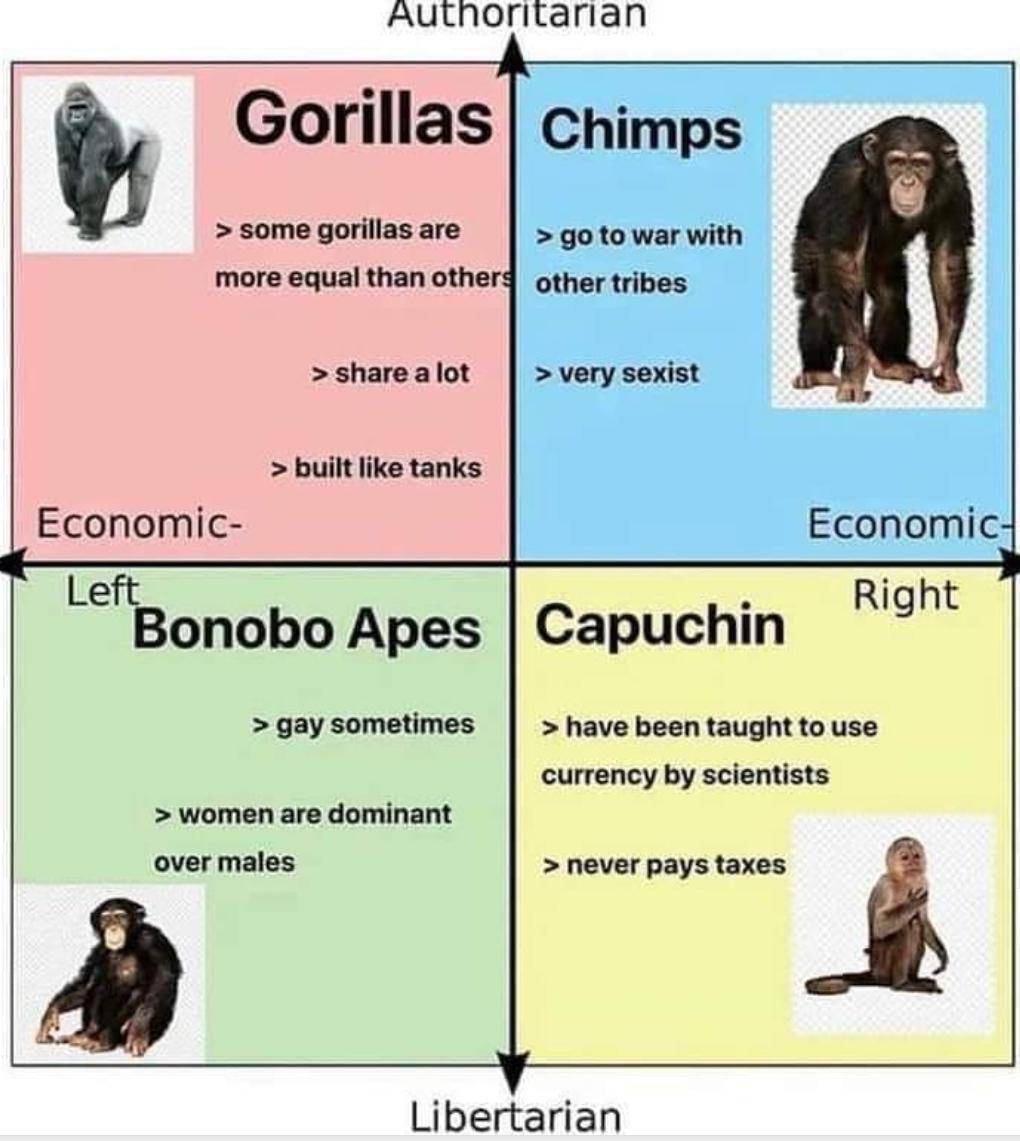 The Quadrants of Monke | Scrolller