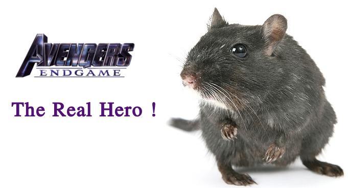 The real hero in endgame | Scrolller