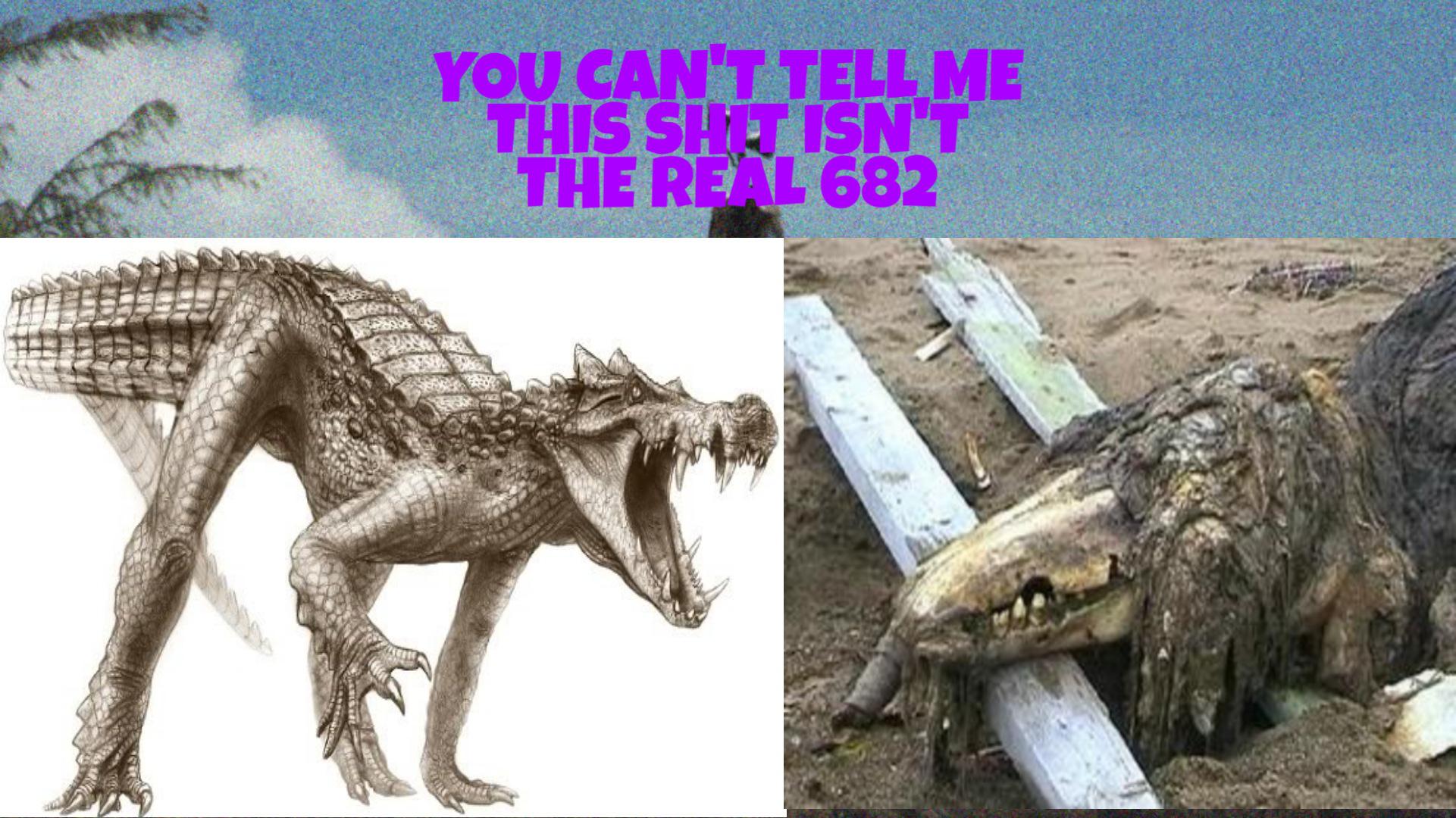 THE REAL SCP 682 | Scrolller