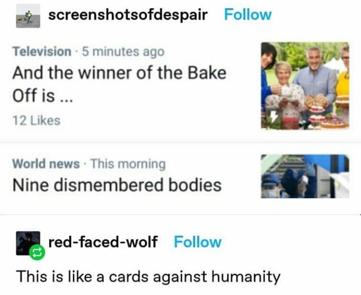 The real winners | Scrolller