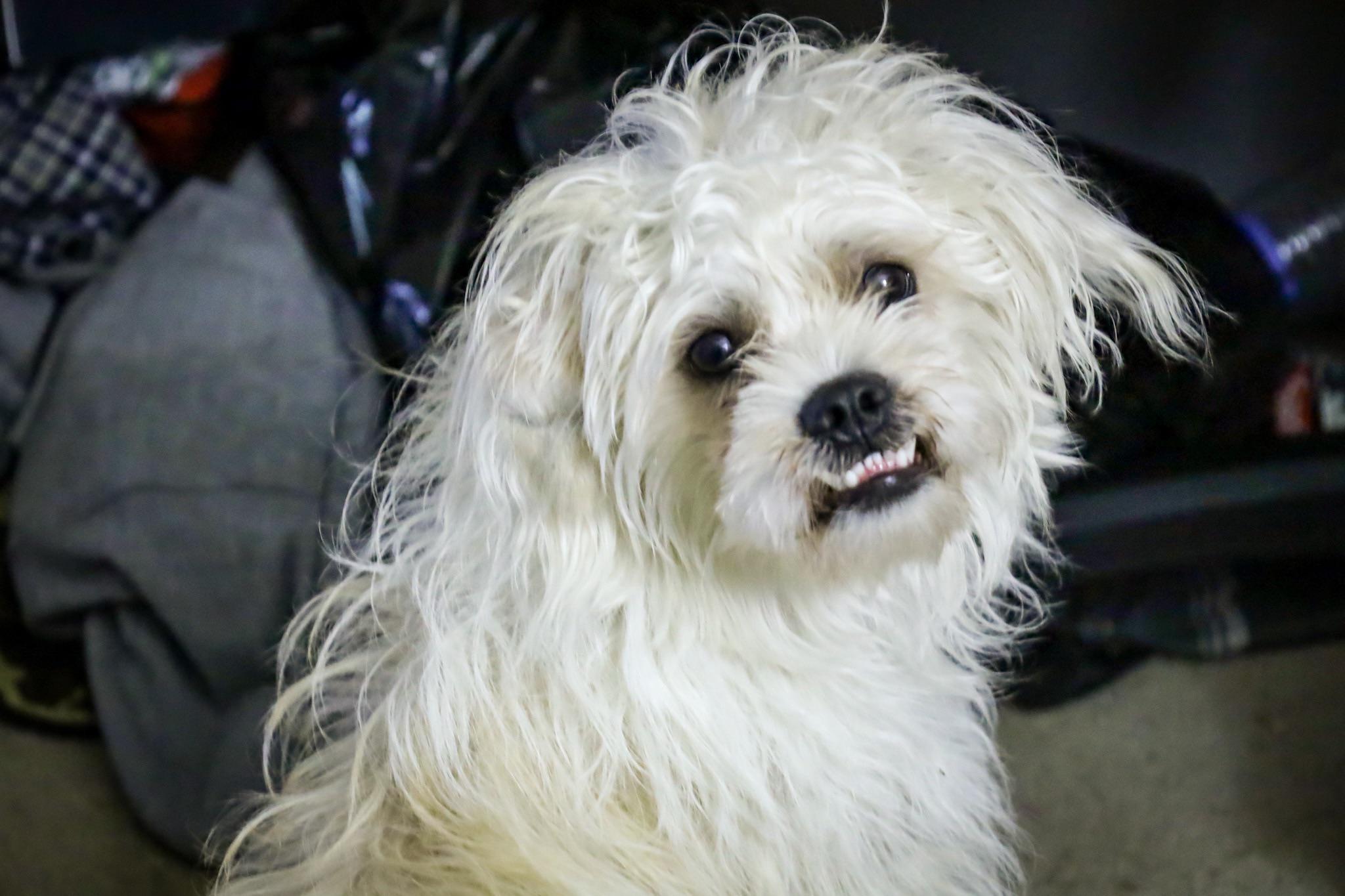 The resting derp face is strong | Scrolller