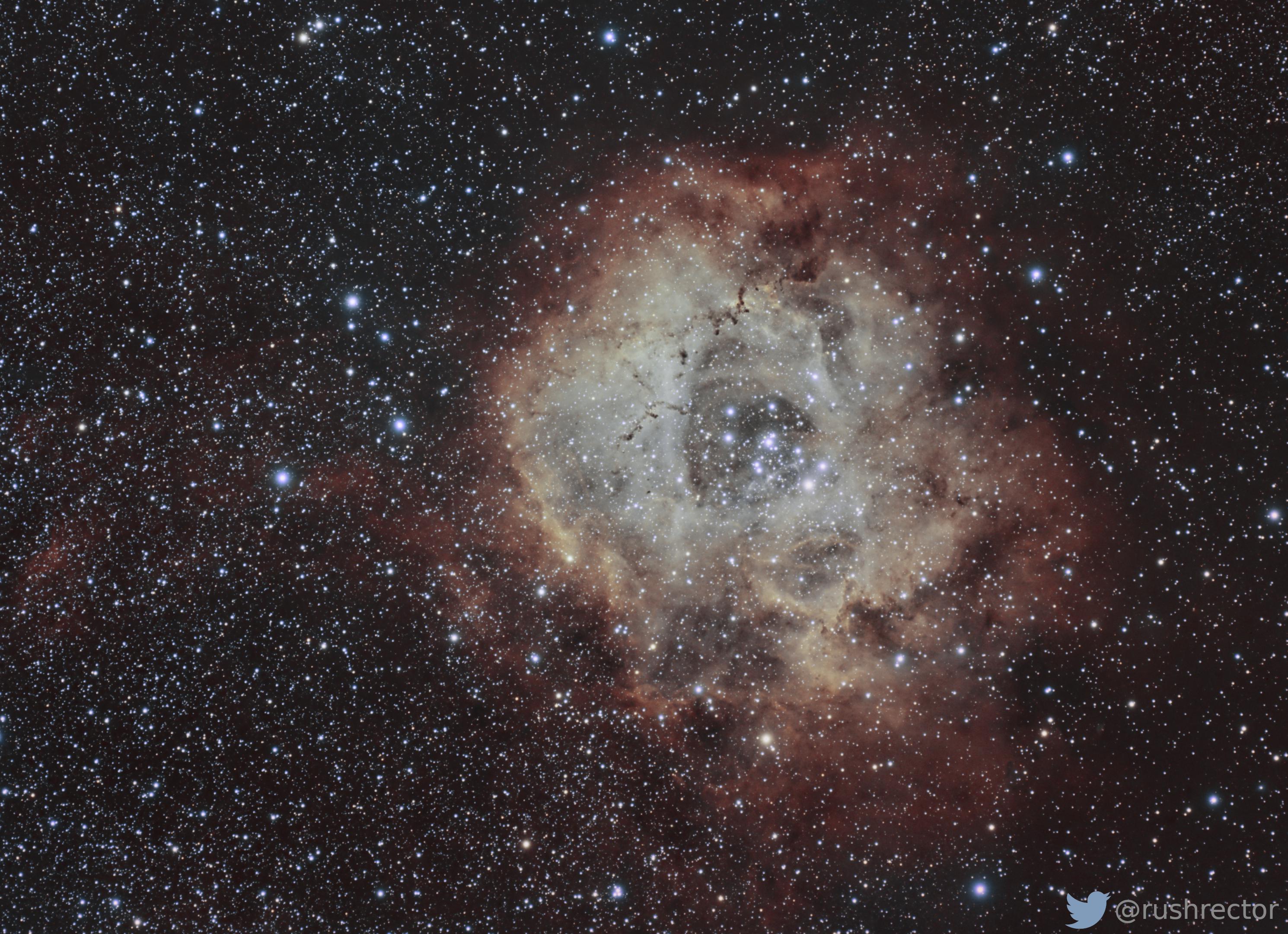 The Rosette Nebula (also known as the Skull Nebula) | Scrolller