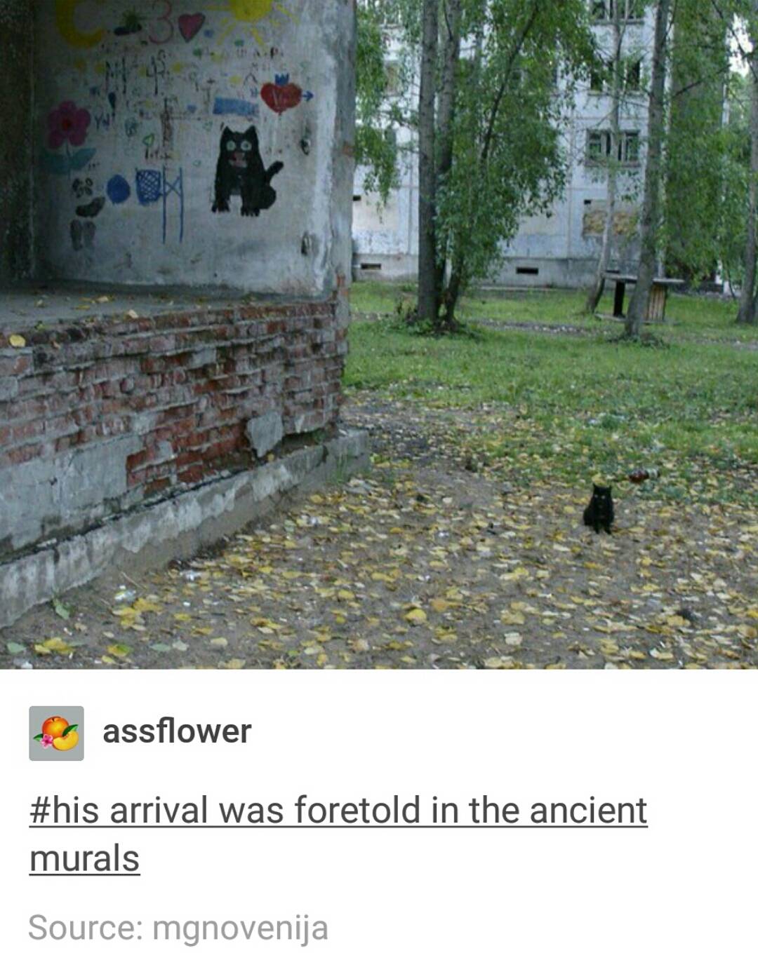 The sacred texts | Scrolller