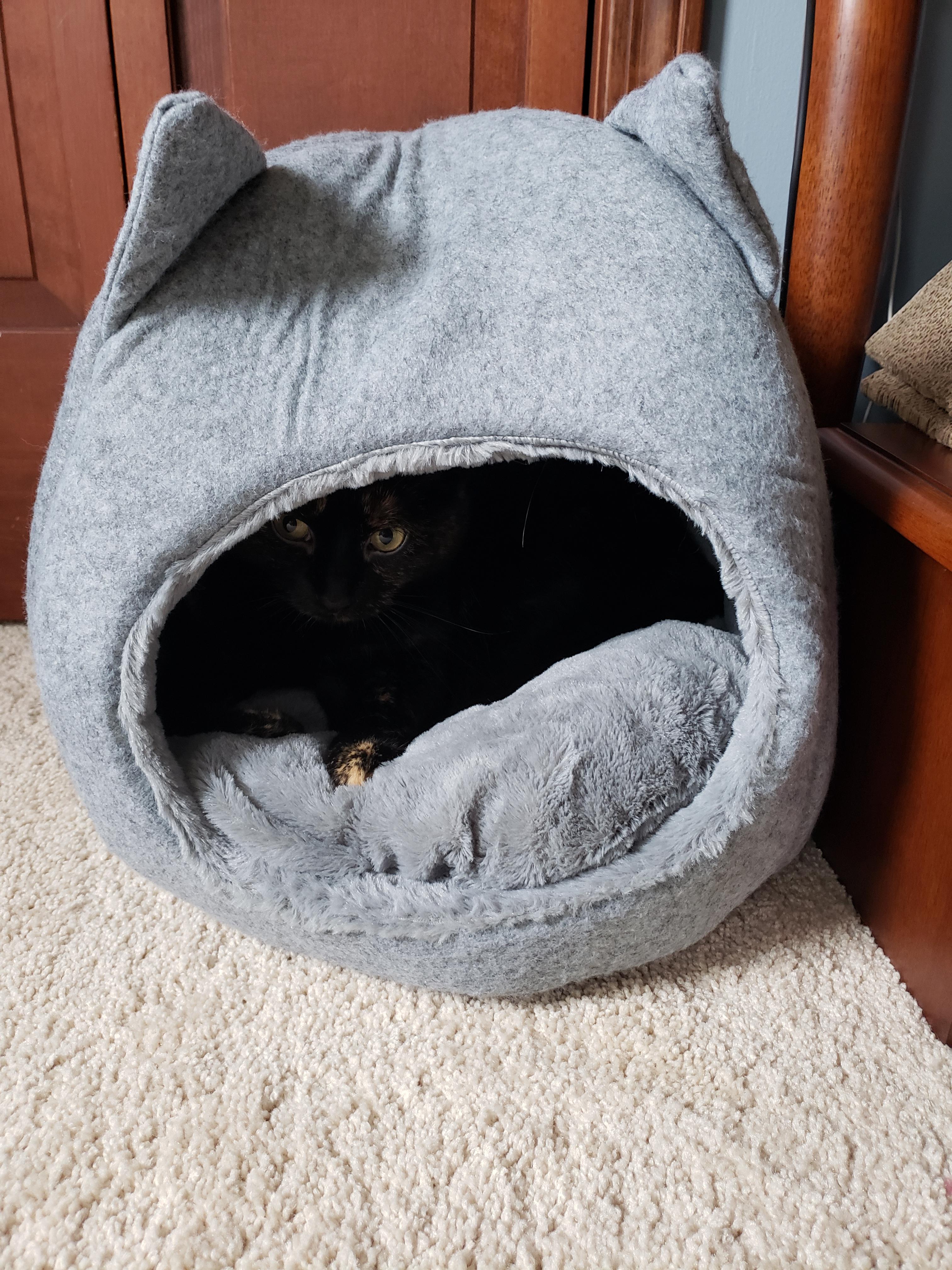 The shadow knows.... | Scrolller