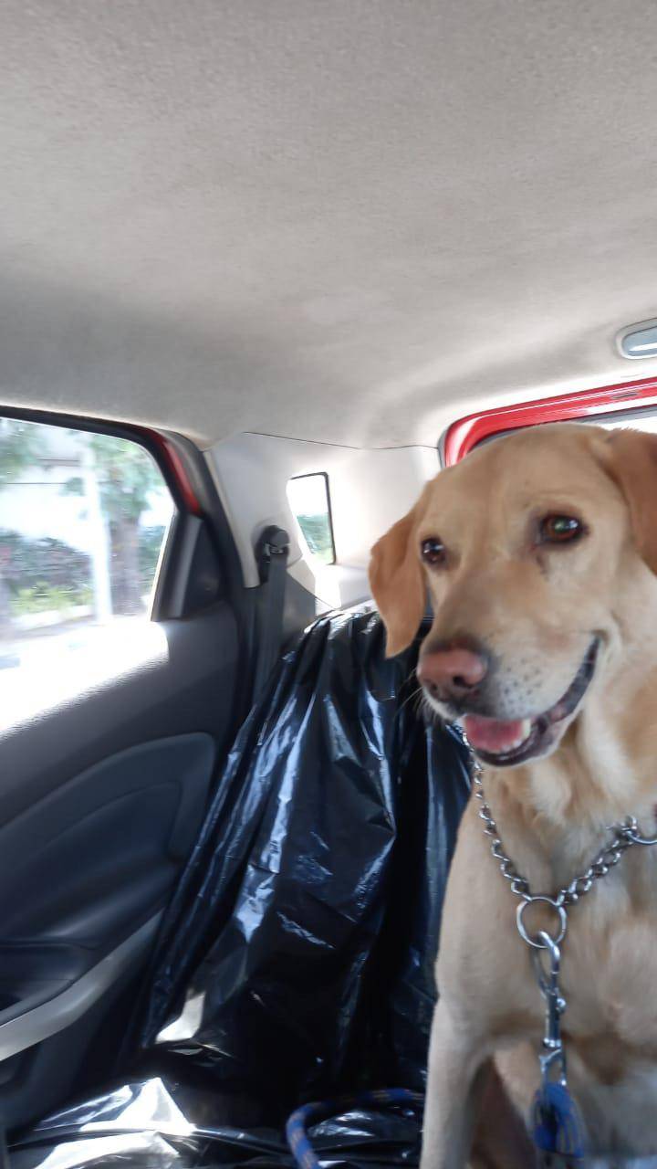 The sheer joy of a car trip | Scrolller