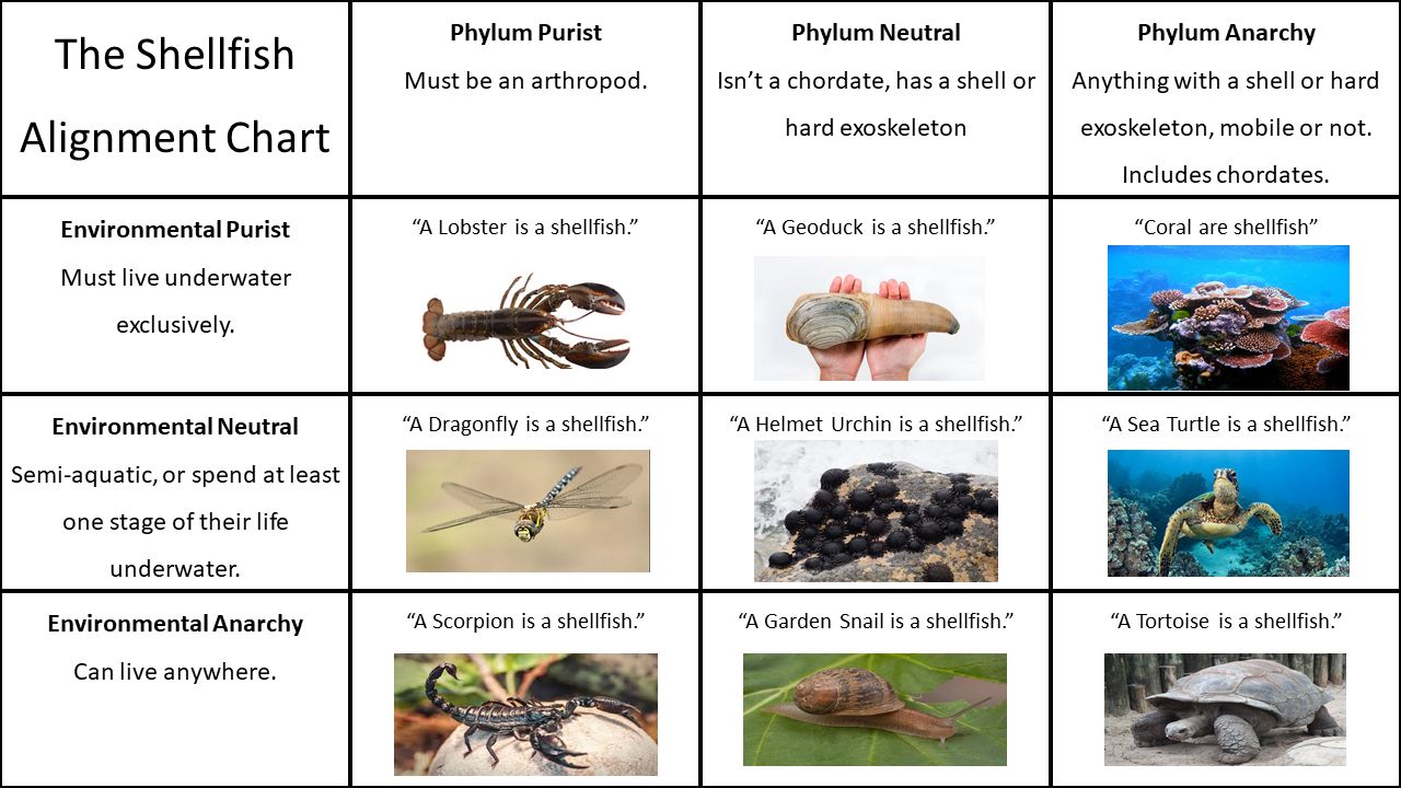 The Shellfish Alignment Chart | Scrolller