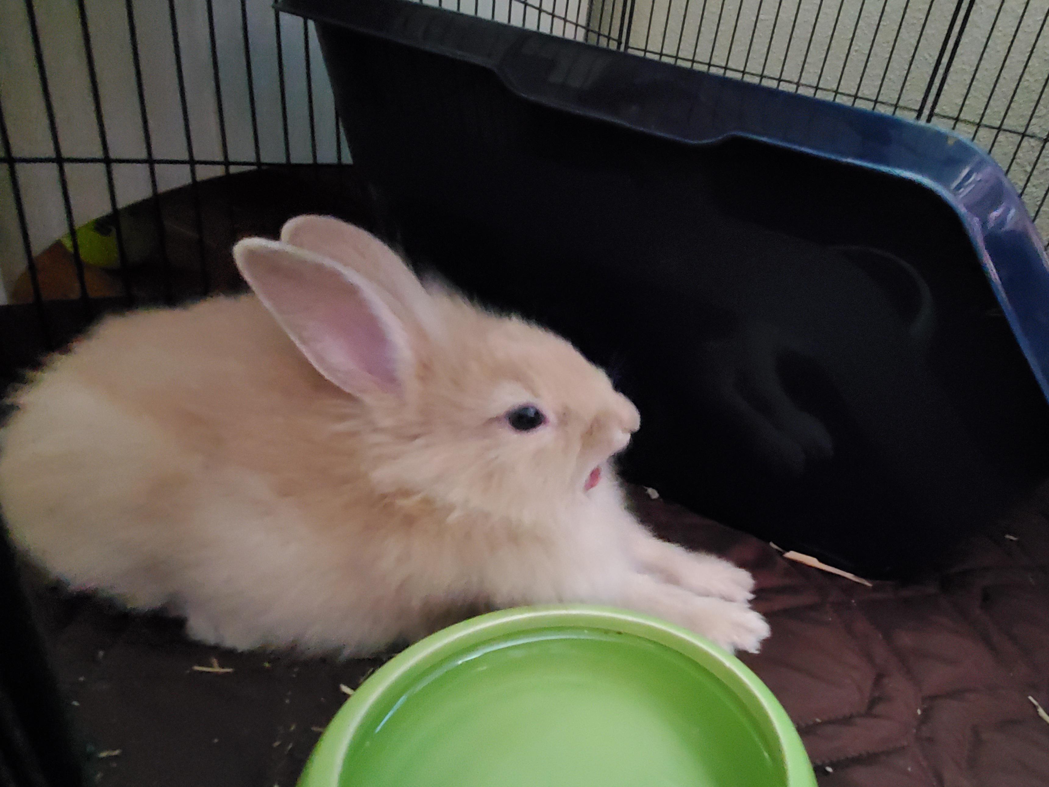 The smollest or yawns. | Scrolller