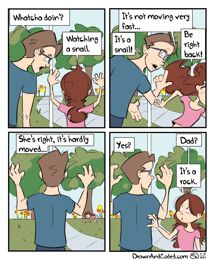 The Snail | Scrolller