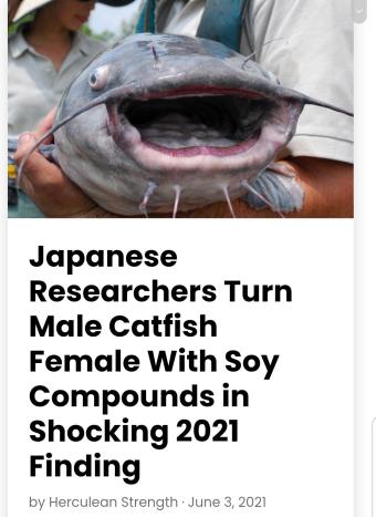 THE SOY IS MAKING THE CATFISH TRANS | Scrolller