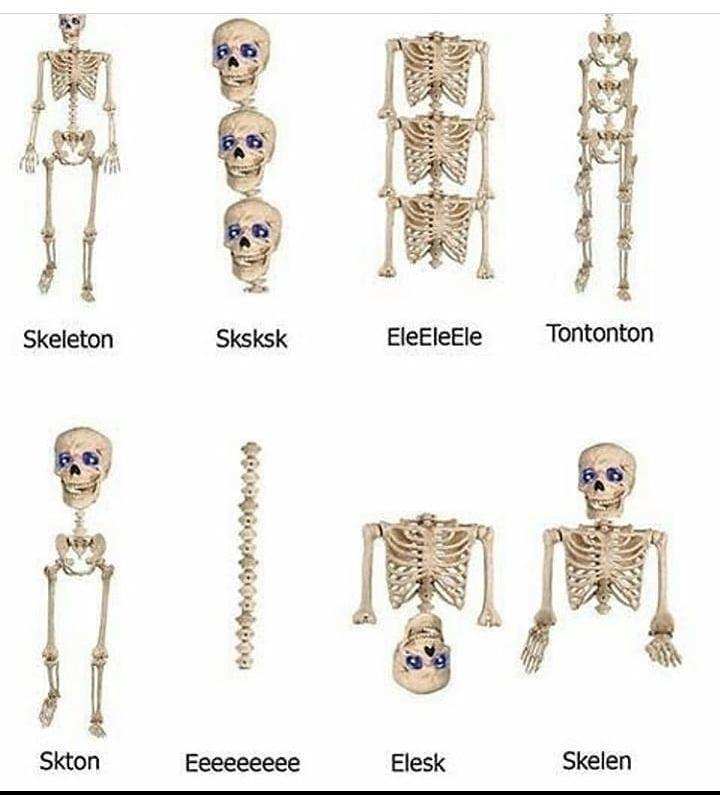 The spookiest skeleton | Scrolller