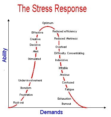 The Stress Response | Scrolller