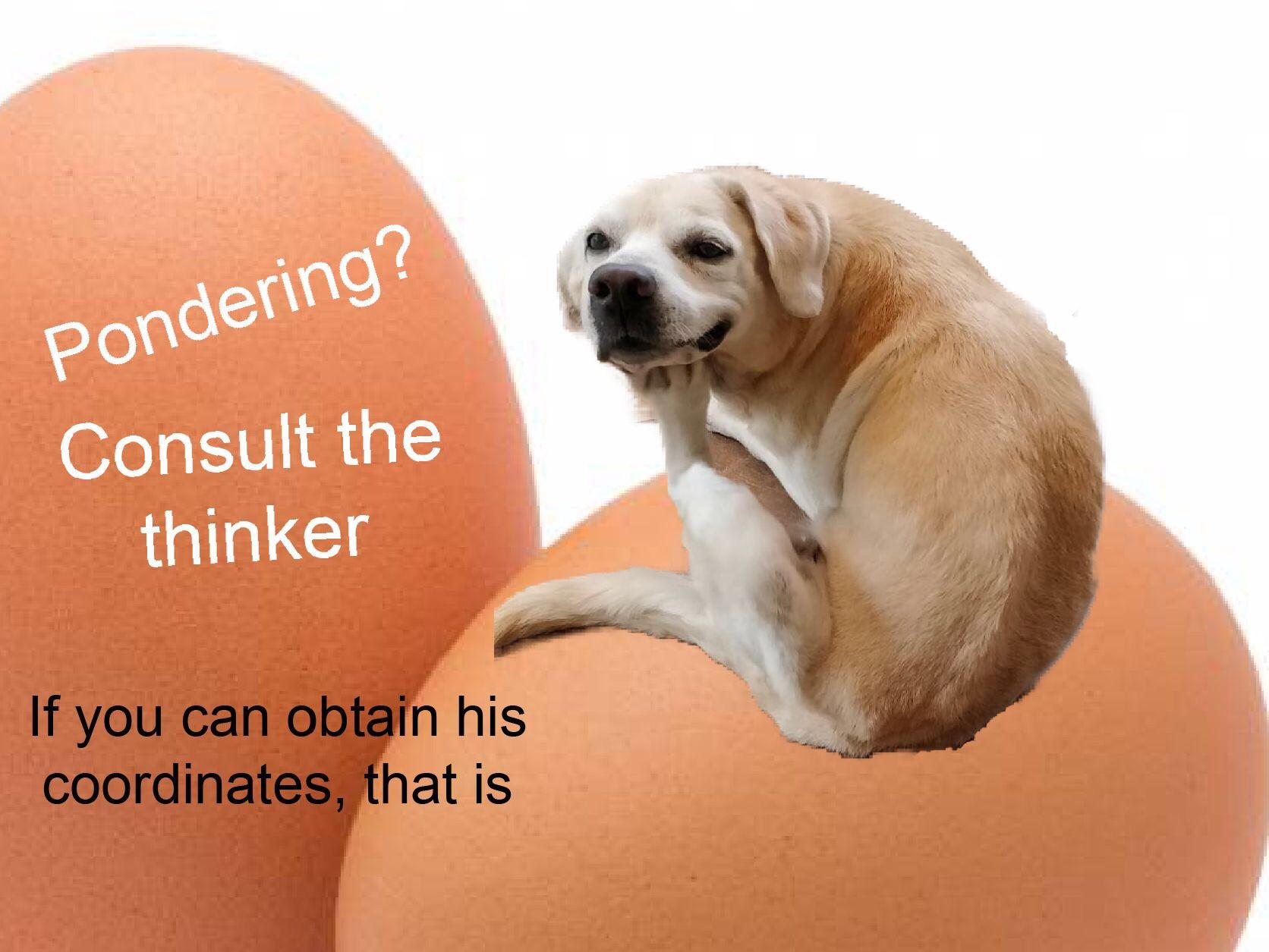 The Thinker | Scrolller