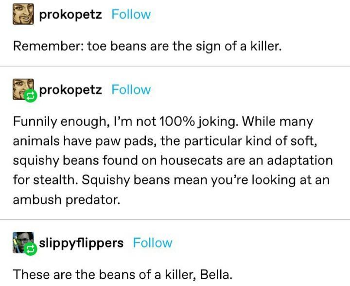 The toe beans of a killer | Scrolller