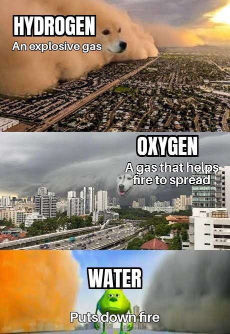 The traitor | Scrolller