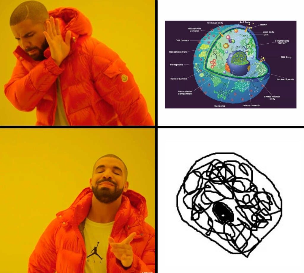 The true masterpiece. | Scrolller