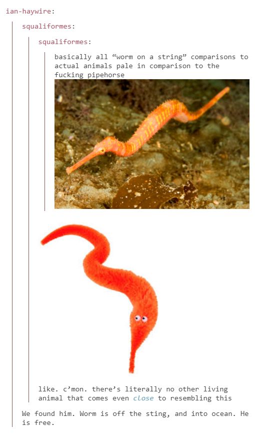 the TRUE worm on a string | Scrolller