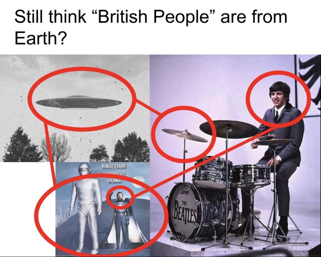 The truth | Scrolller