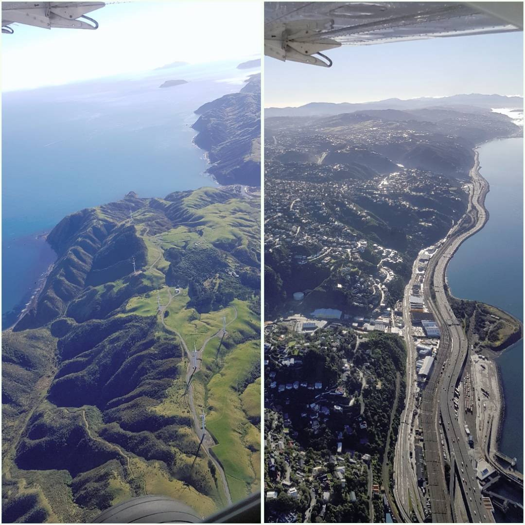 The two sides of Wellington | Scrolller