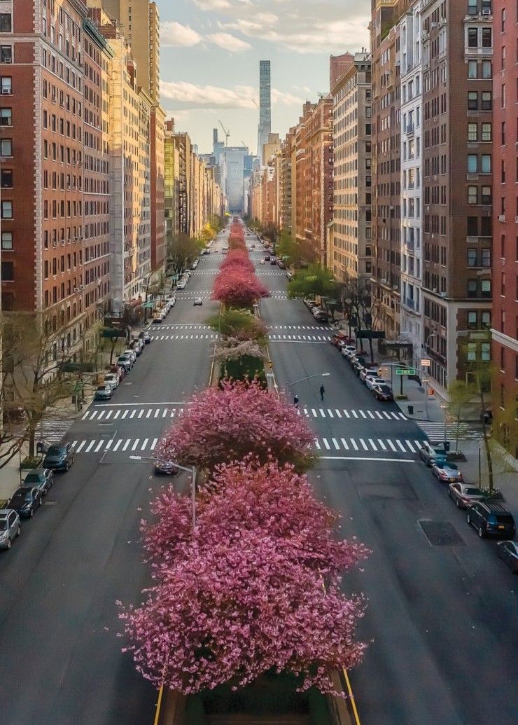 The Upper East Side, New York. (Image - Jerome Strauss). | Scrolller