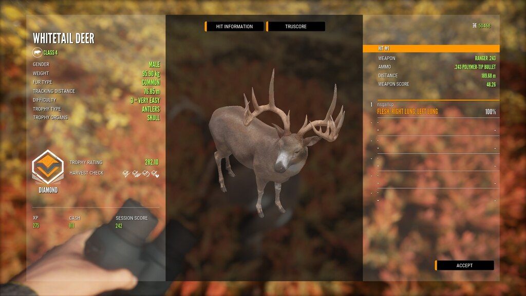 The very first whitetail I shoot turns out to be a 💎 | Scrolller