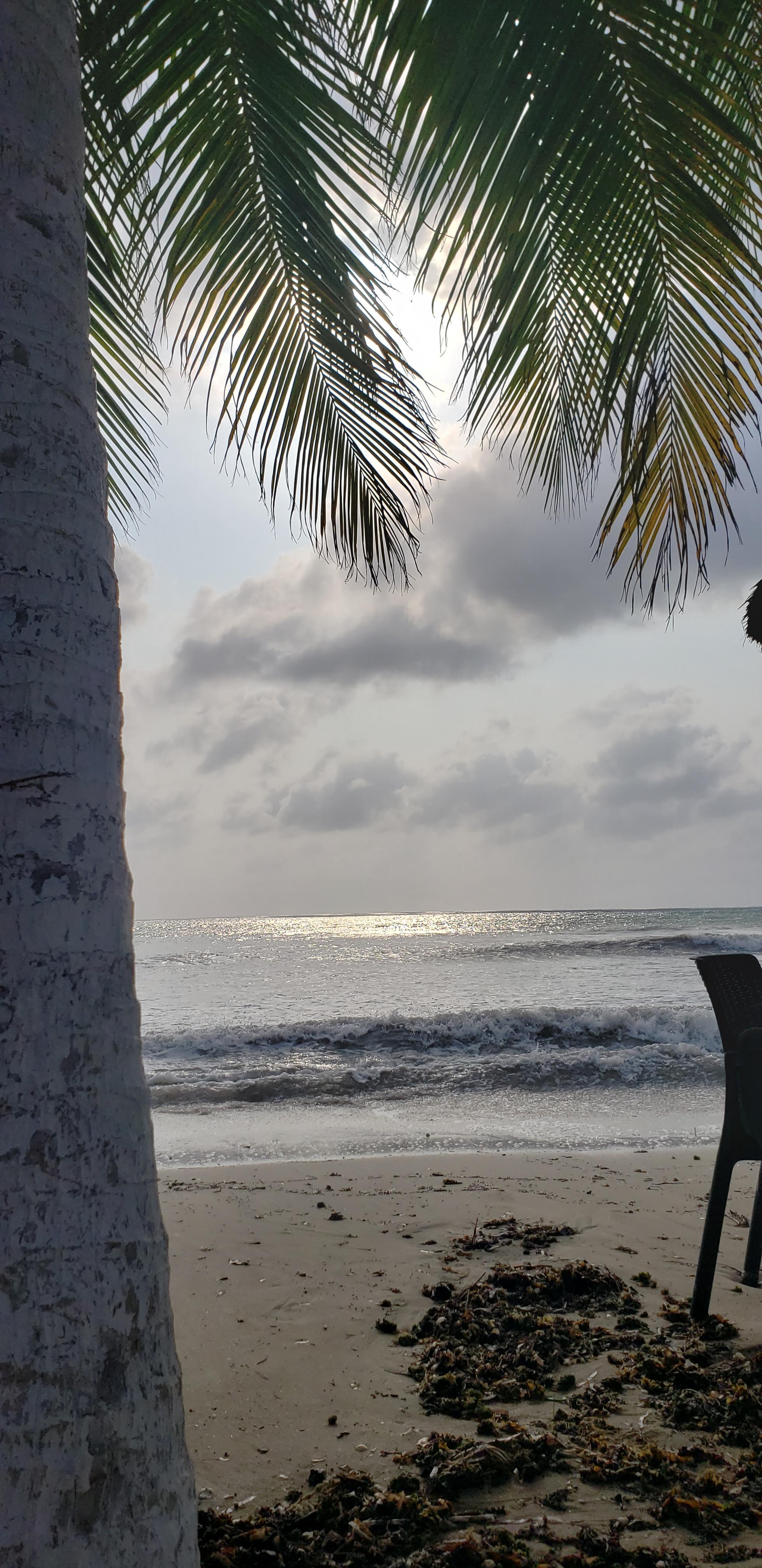 The view from Albertos beach bar | Scrolller