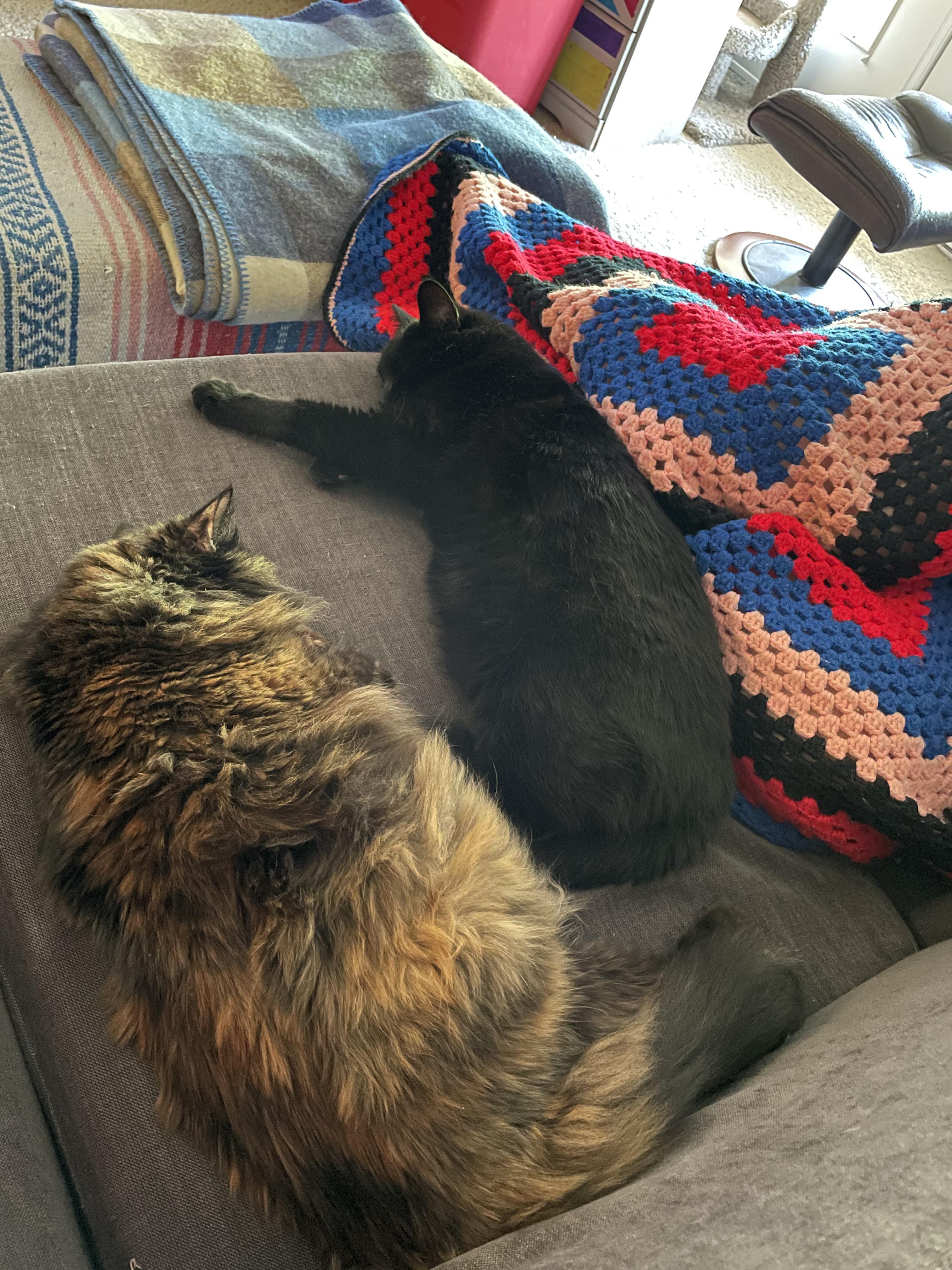 The void and his sister have agreed to a cease-fire | Scrolller