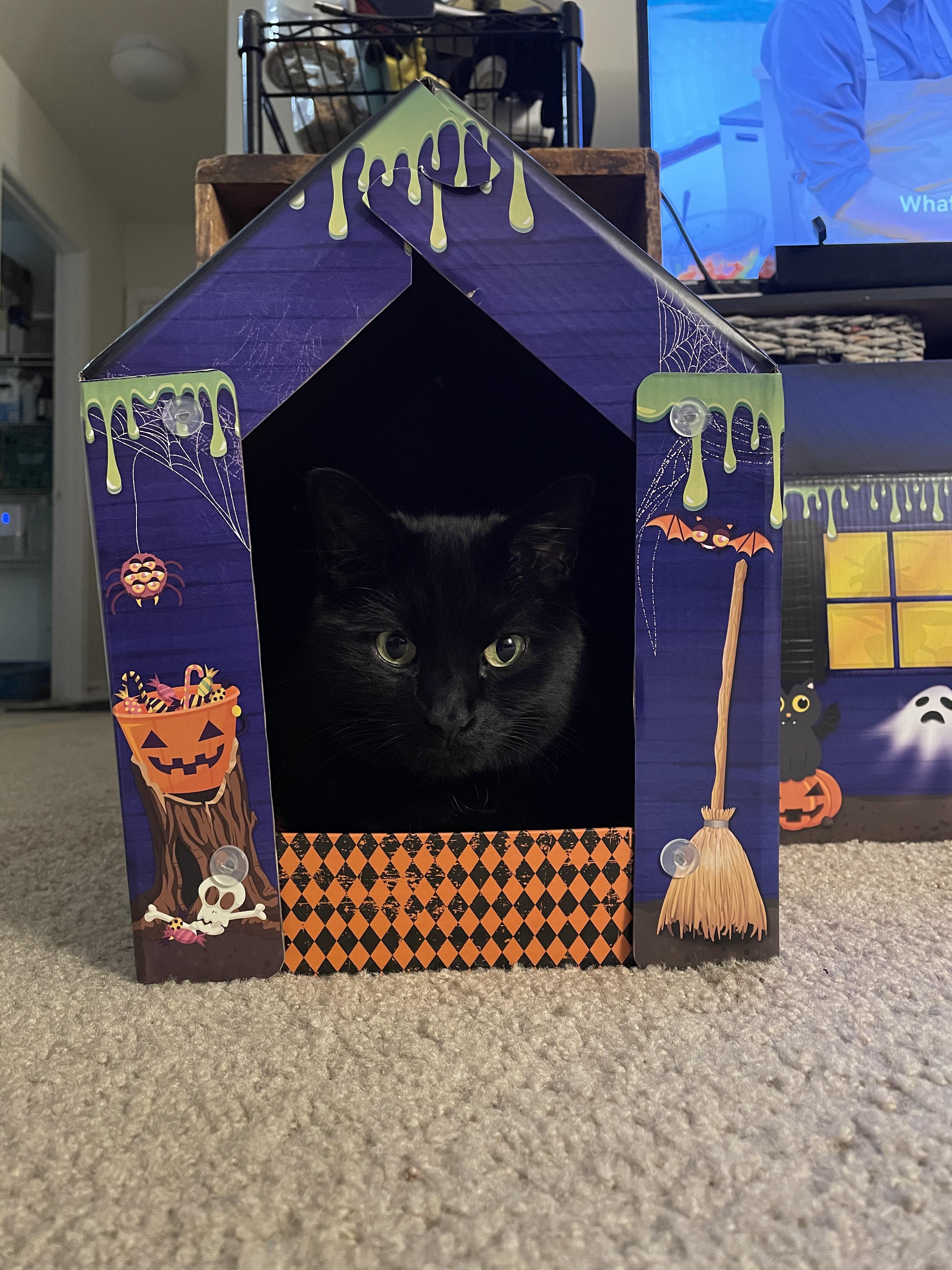The void is enjoying his new spooky house. | Scrolller