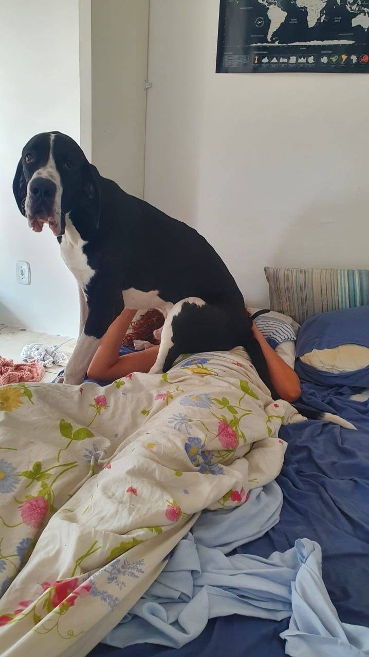 The wife has lost all respect on our house. 😂 | Scrolller