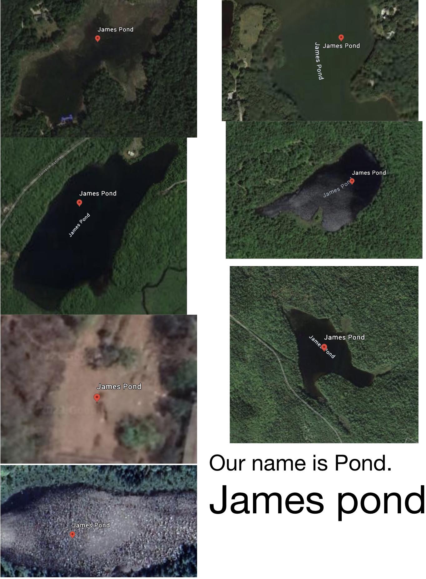 There are 7 different James ponds around the world | Scrolller