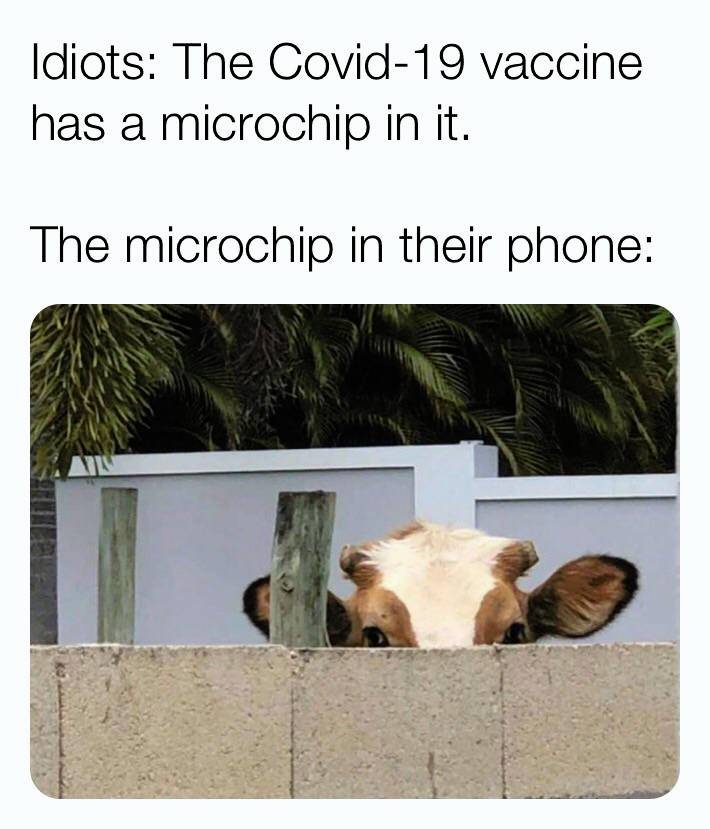 There Is Another | Scrolller