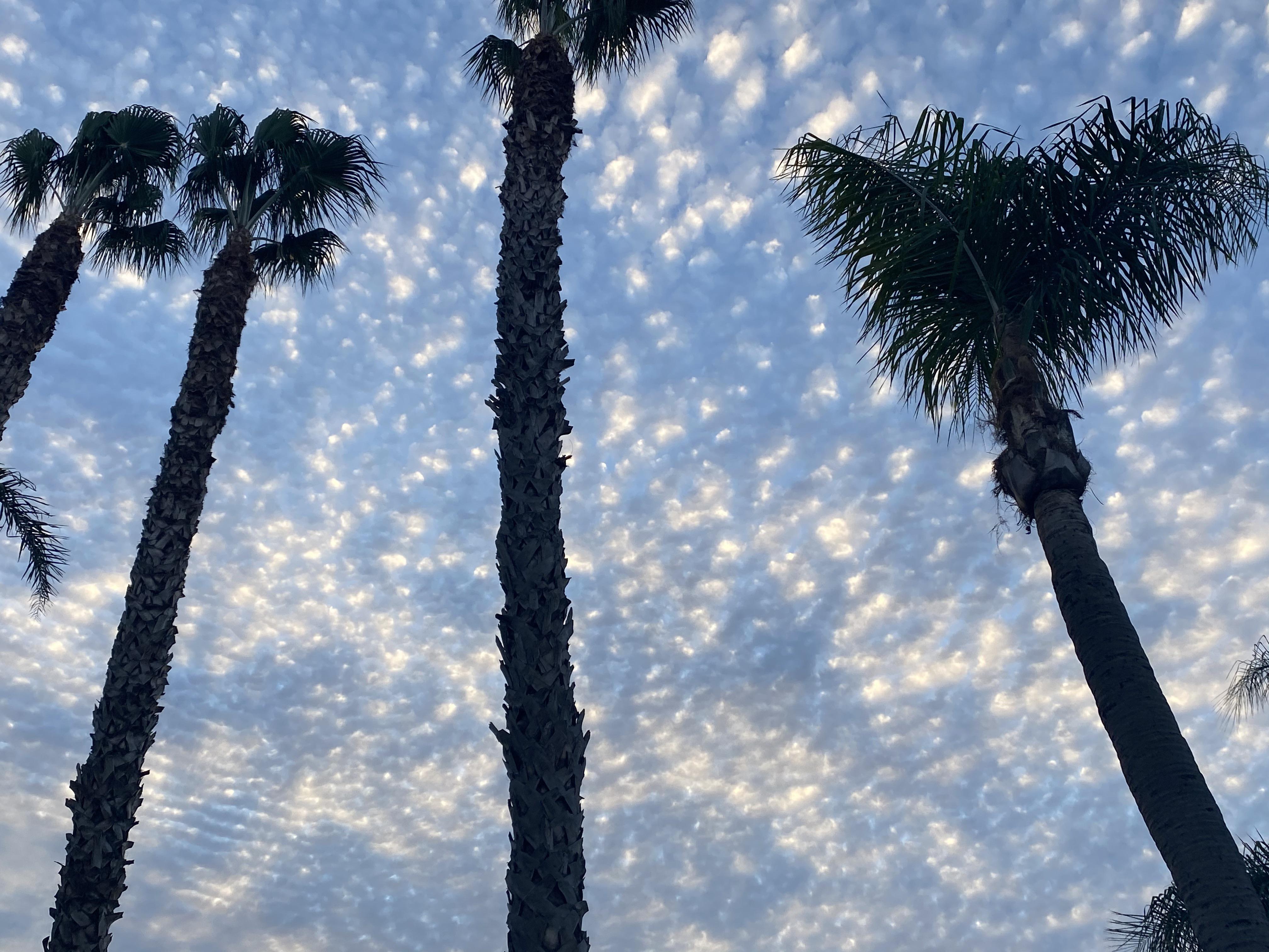 There’s been some beautiful cloud formations today. | Scrolller
