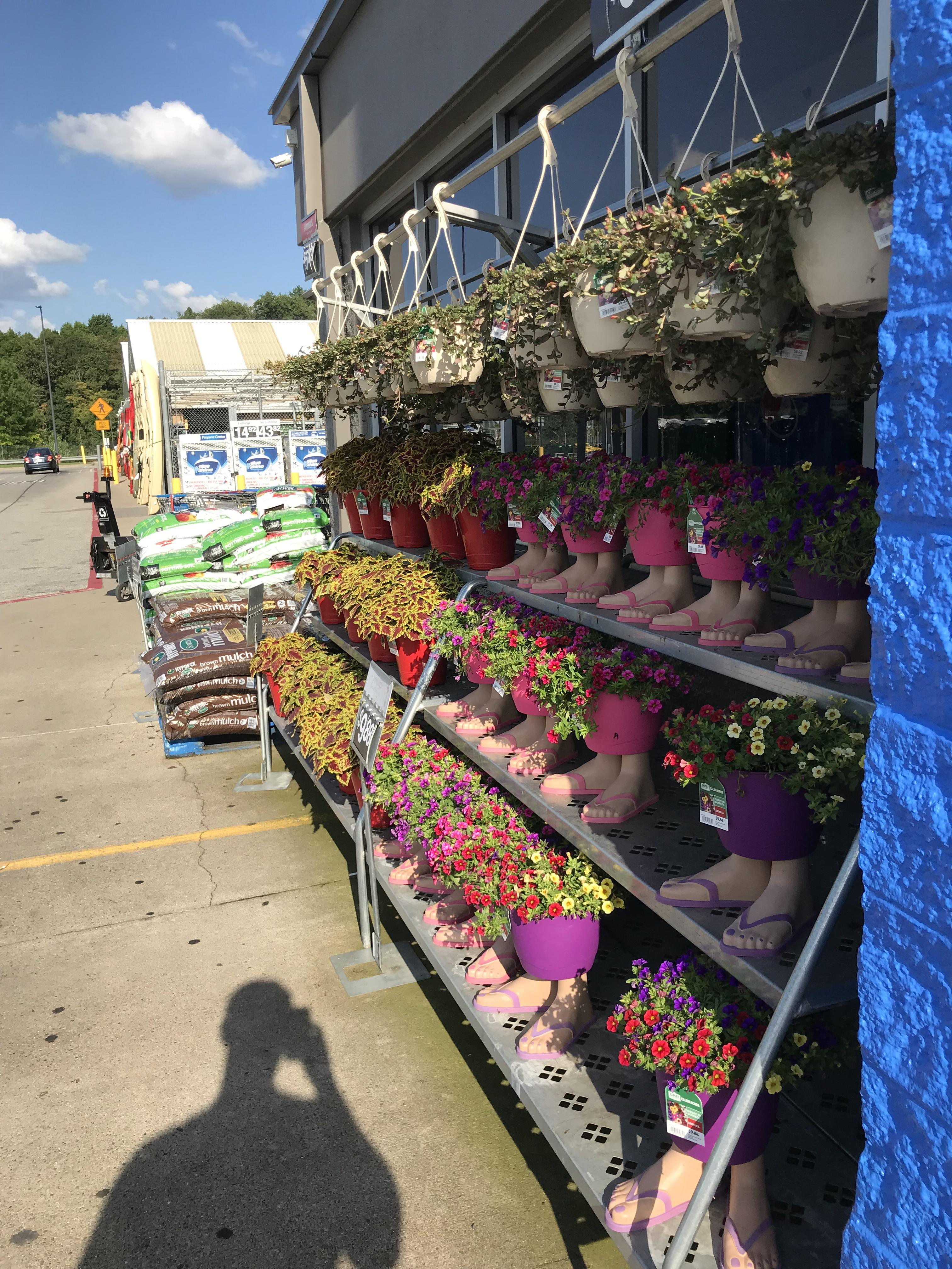 There’s nothing weird here... | Scrolller