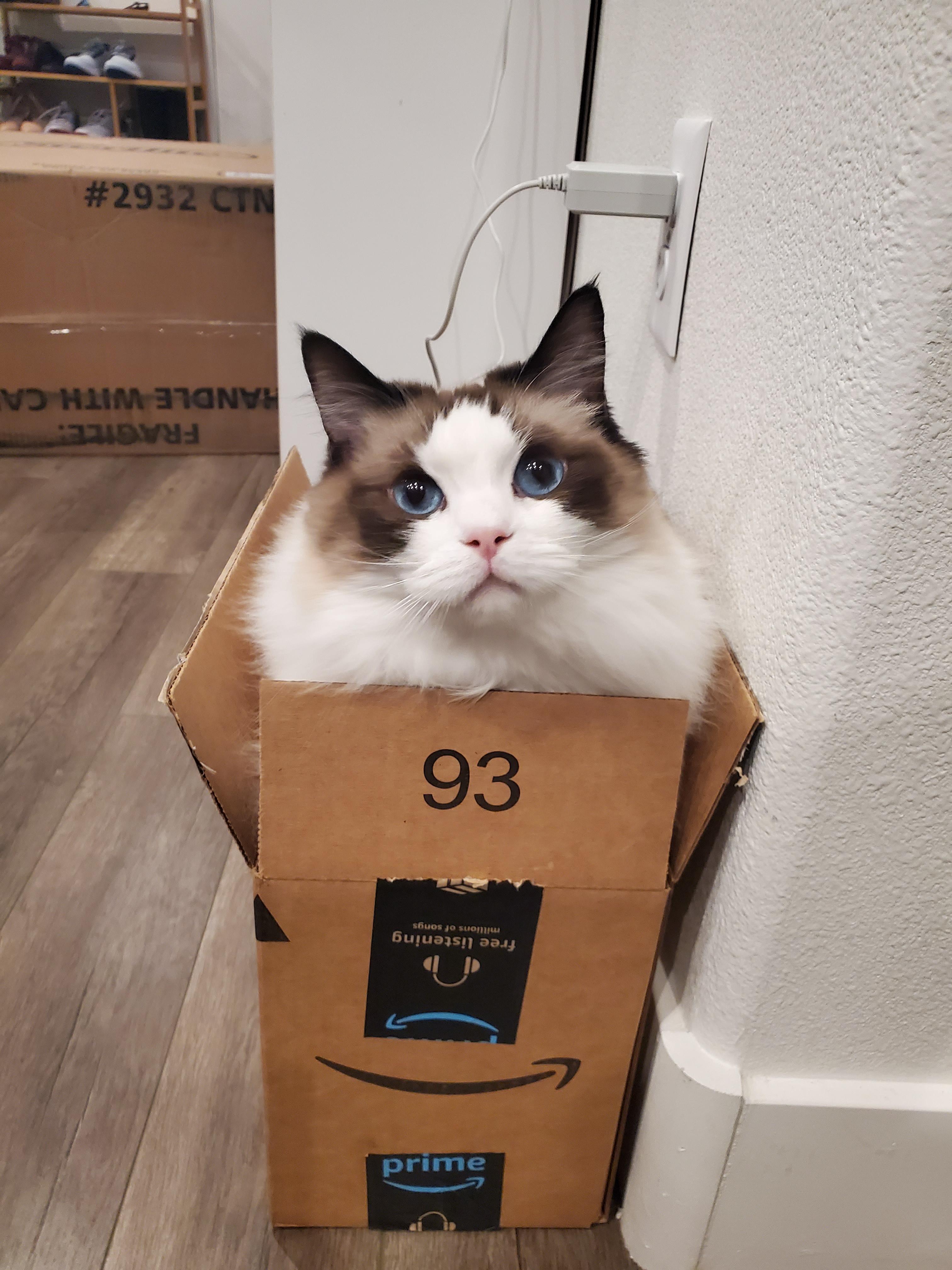 There will always be new boxes for the fluff | Scrolller