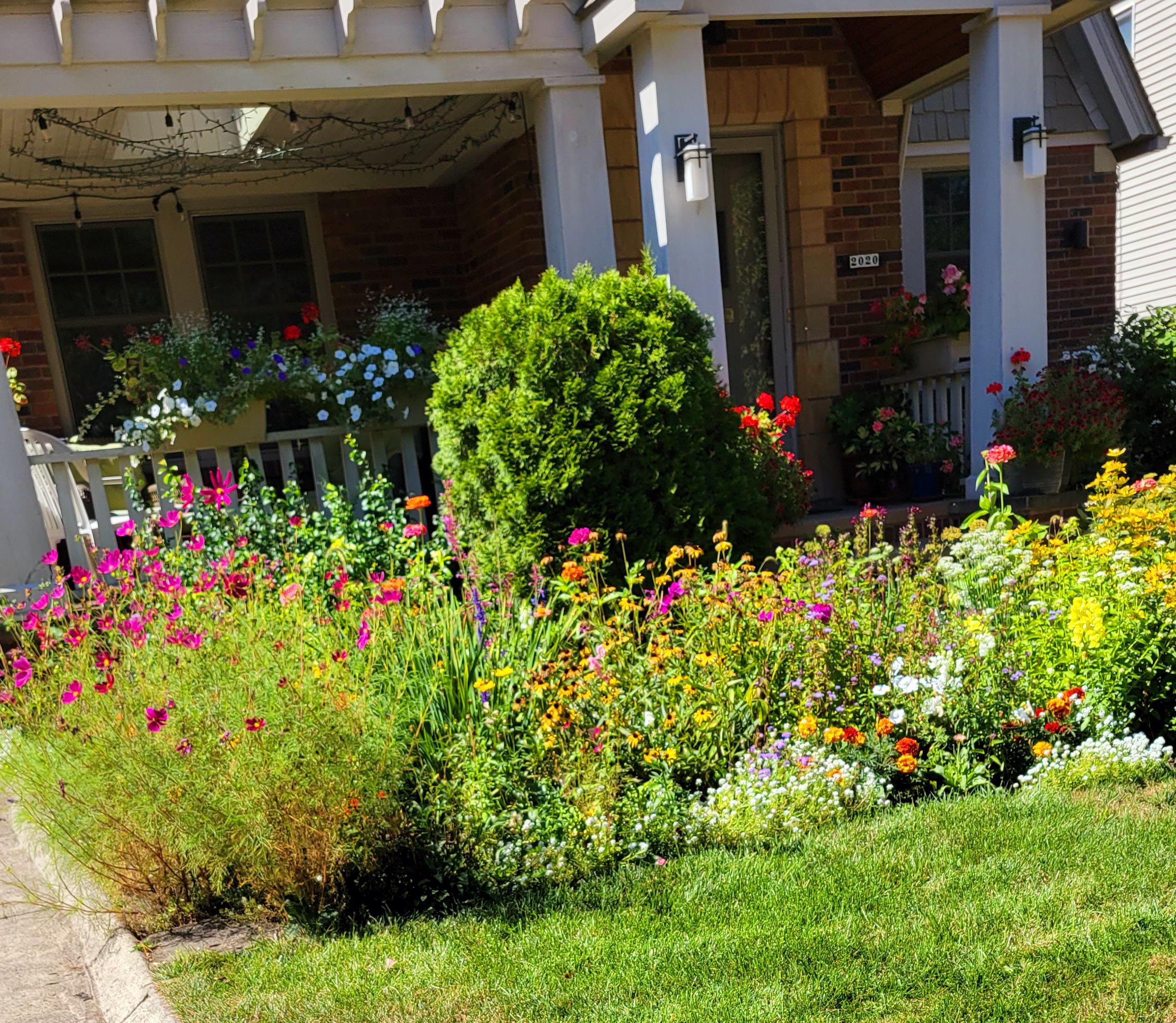 There's an adorable tudor cottage-like house I see on my walks that has the most amazing ...