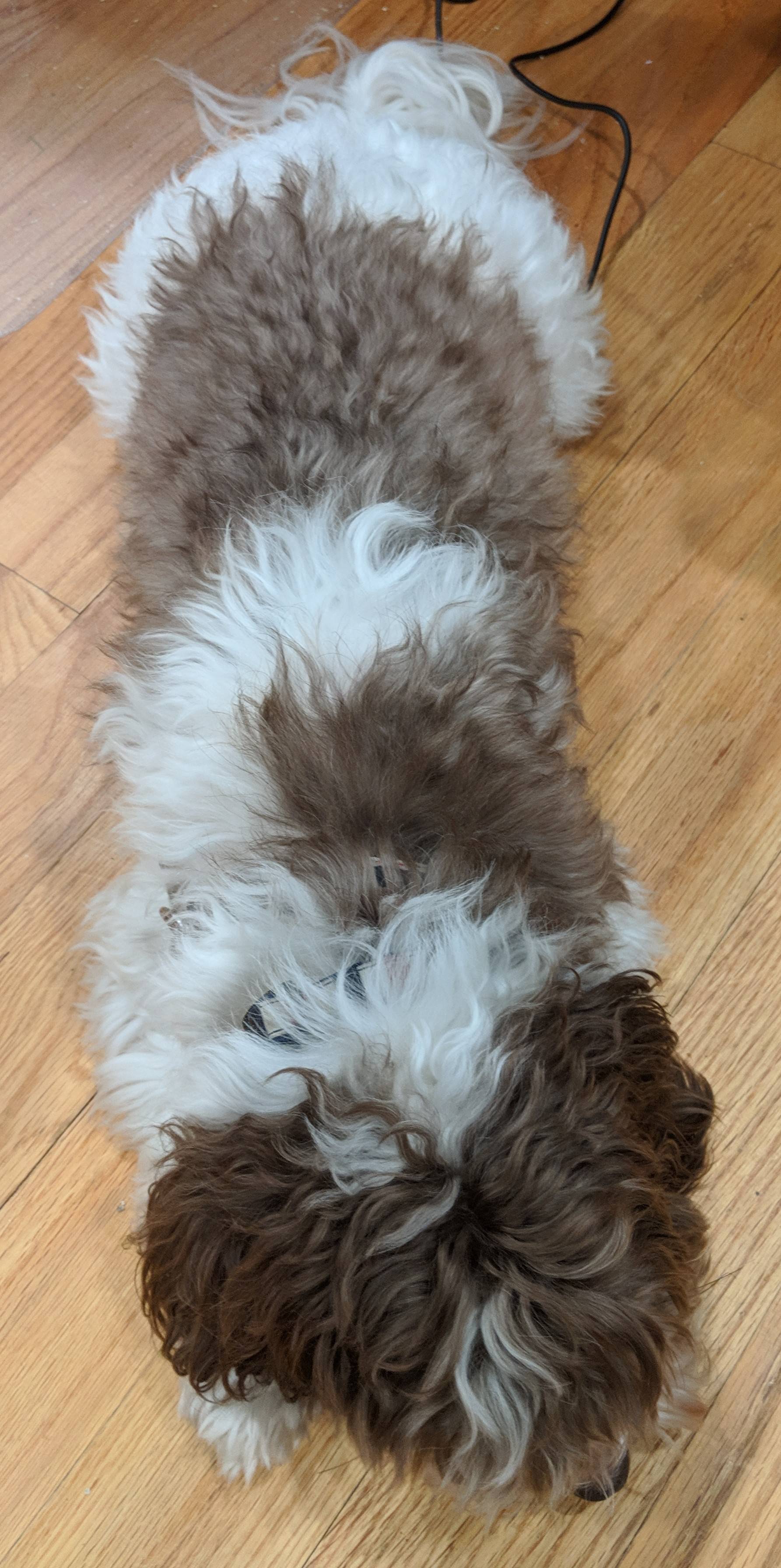 There's my marble rye | Scrolller